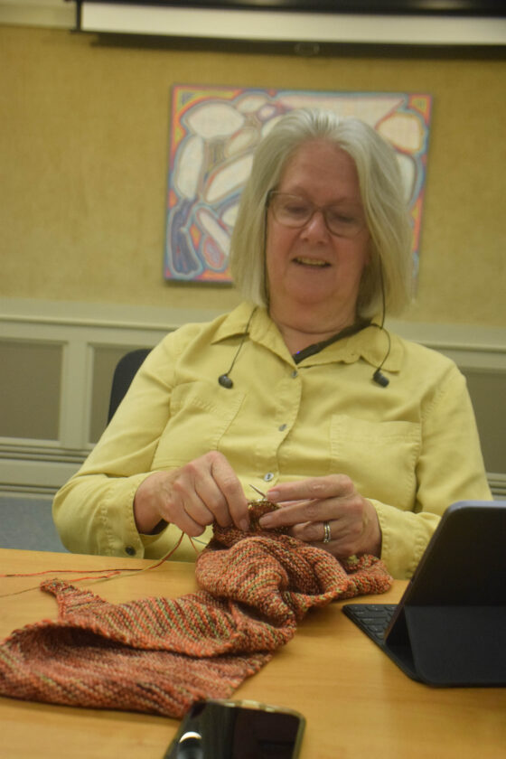 A stitch in time | News, Sports, Jobs - Adirondack Daily Enterprise